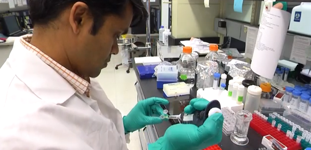 Lab-Developed Intestinal Organoids Form Mature Human Tissue In Mice ...